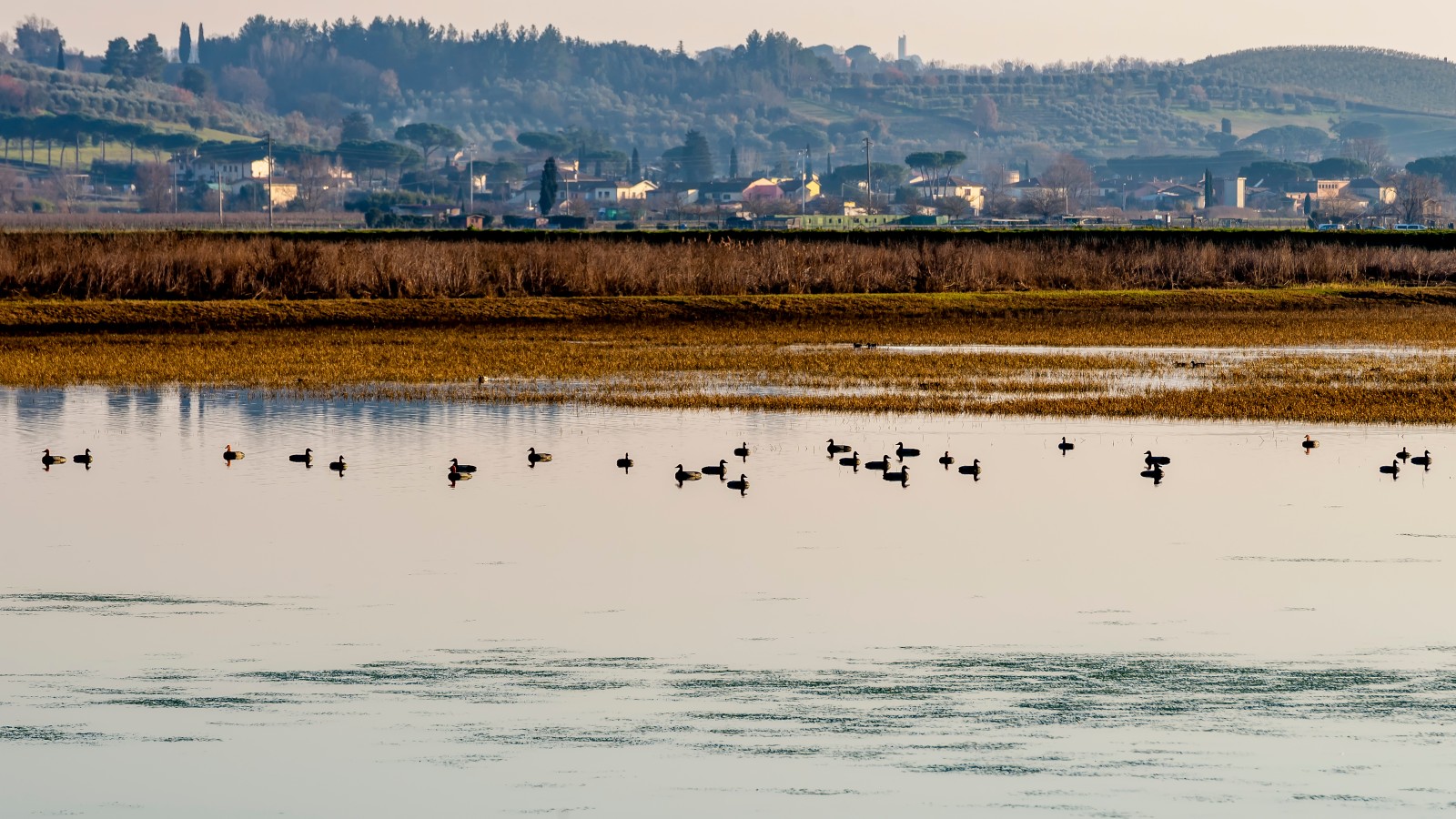 Fucecchio - Cosa vedere e come arrivare